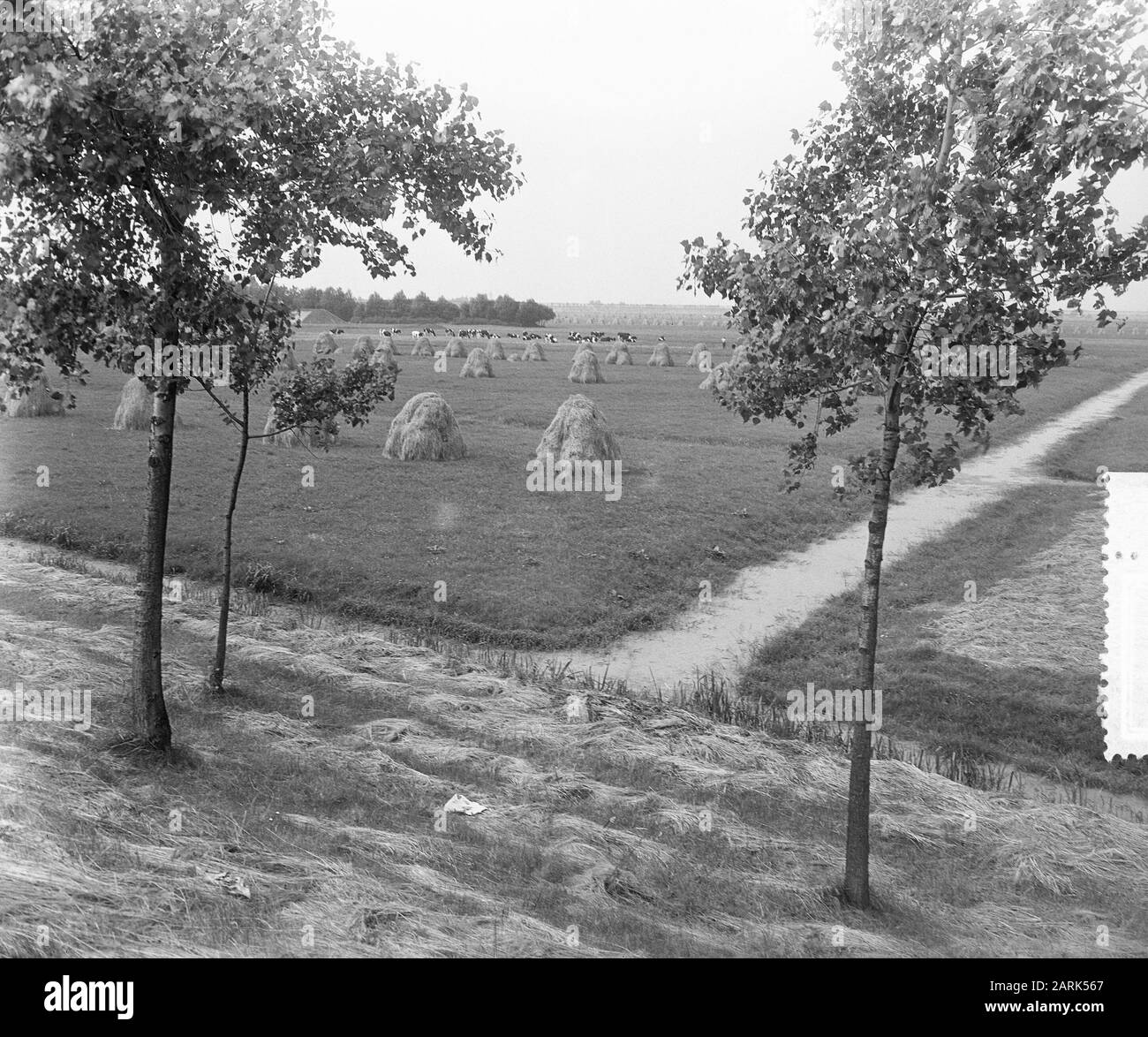 1953 24 june hi-res stock photography and images - Alamy