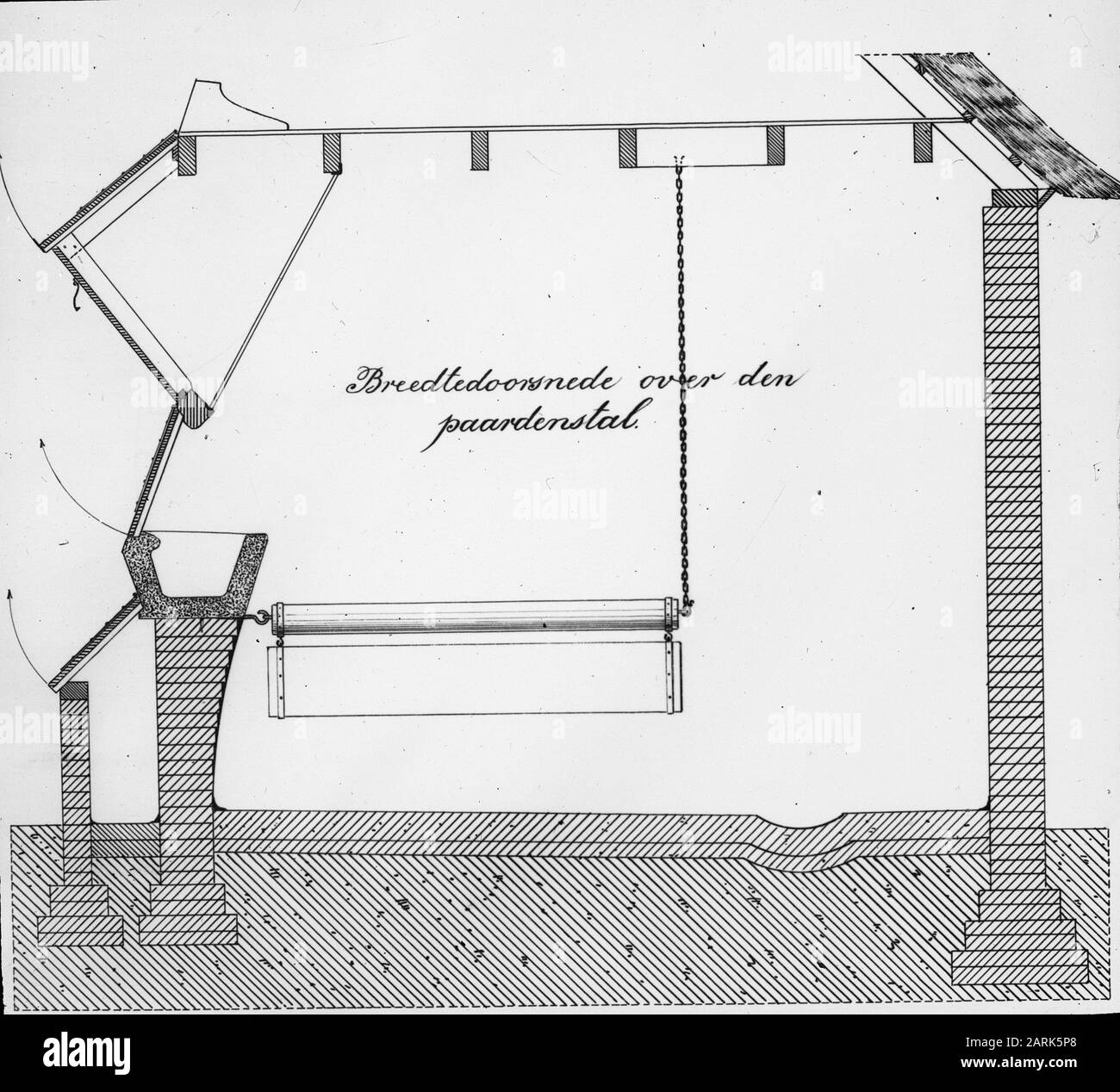 Horse cross section hi-res stock photography and images - Alamy