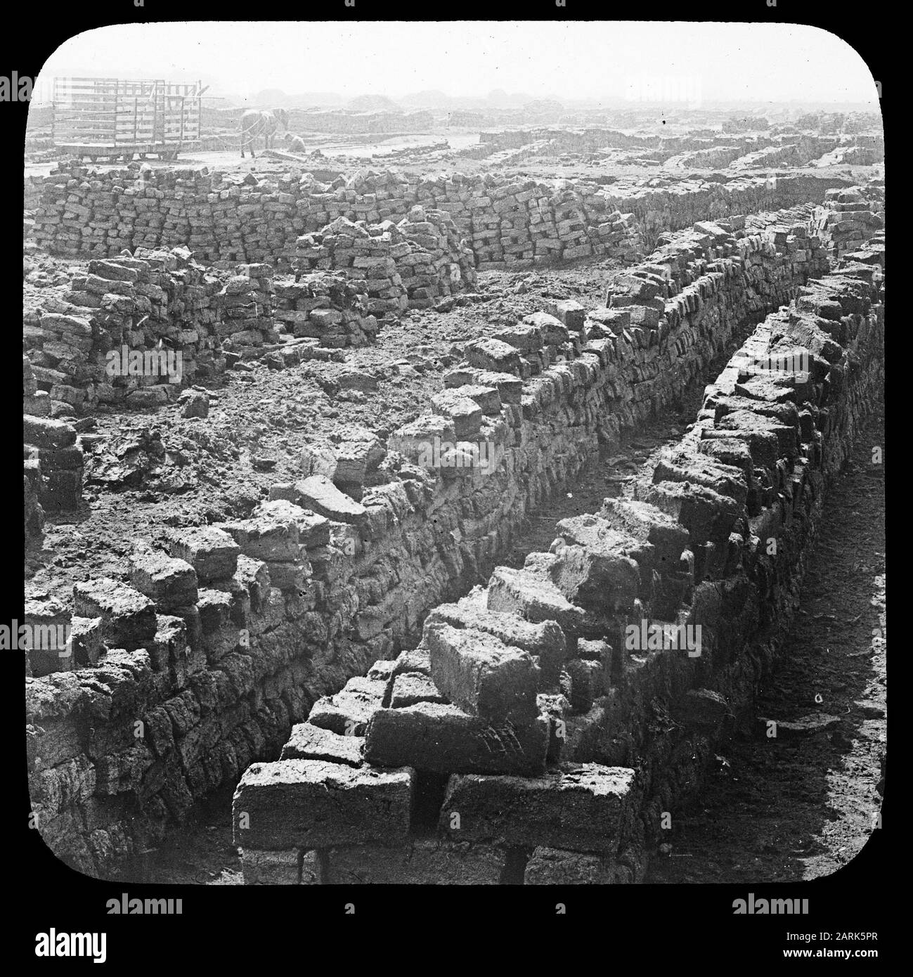 Dried peat Black and White Stock Photos & Images - Alamy