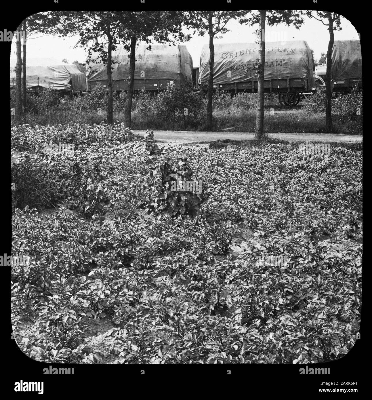 General litter hi-res stock photography and images - Alamy