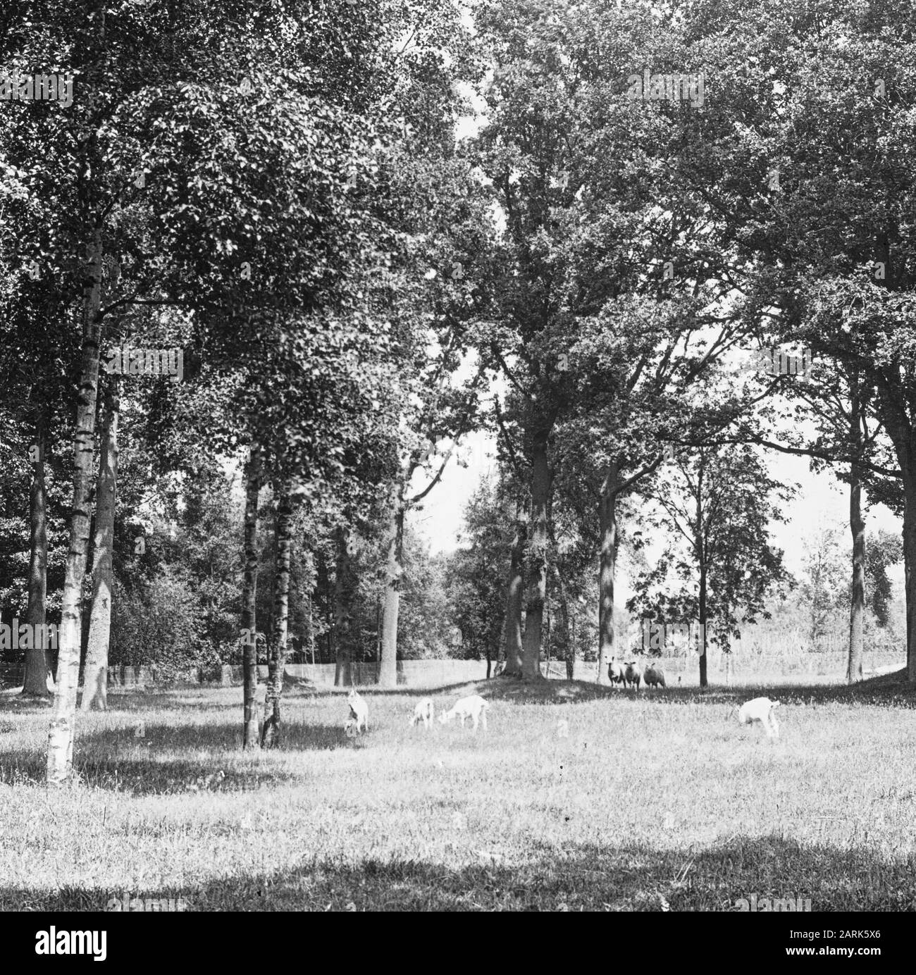 Coastal management practices Black and White Stock Photos & Images - Alamy