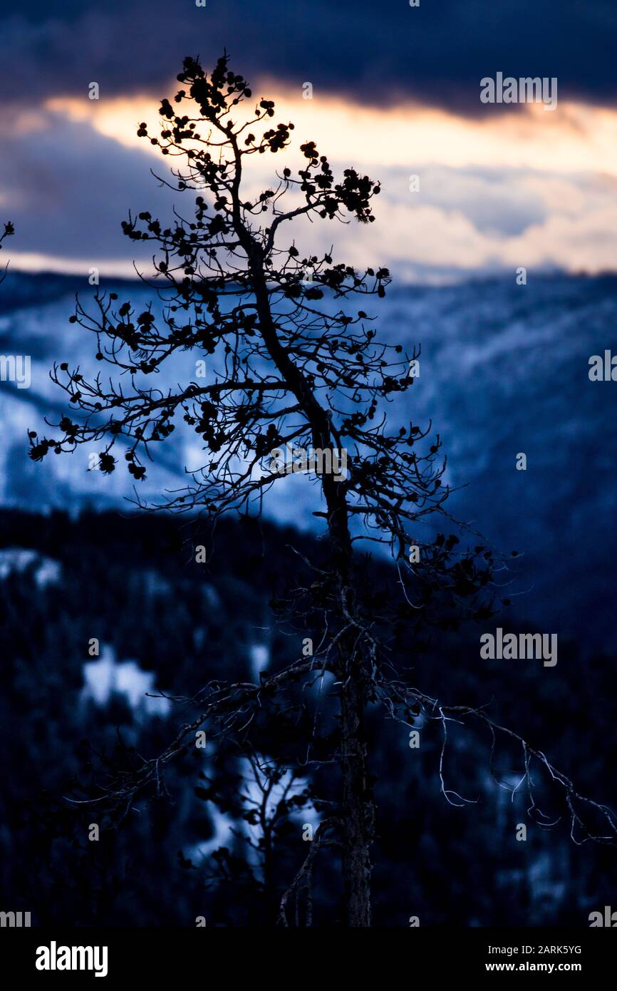 Sun burned hi-res stock photography and images - Alamy