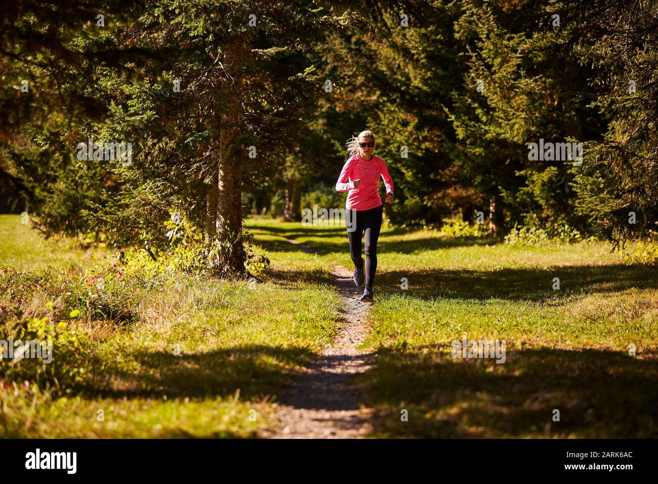 Female runner running through forest hi-res stock photography and ...