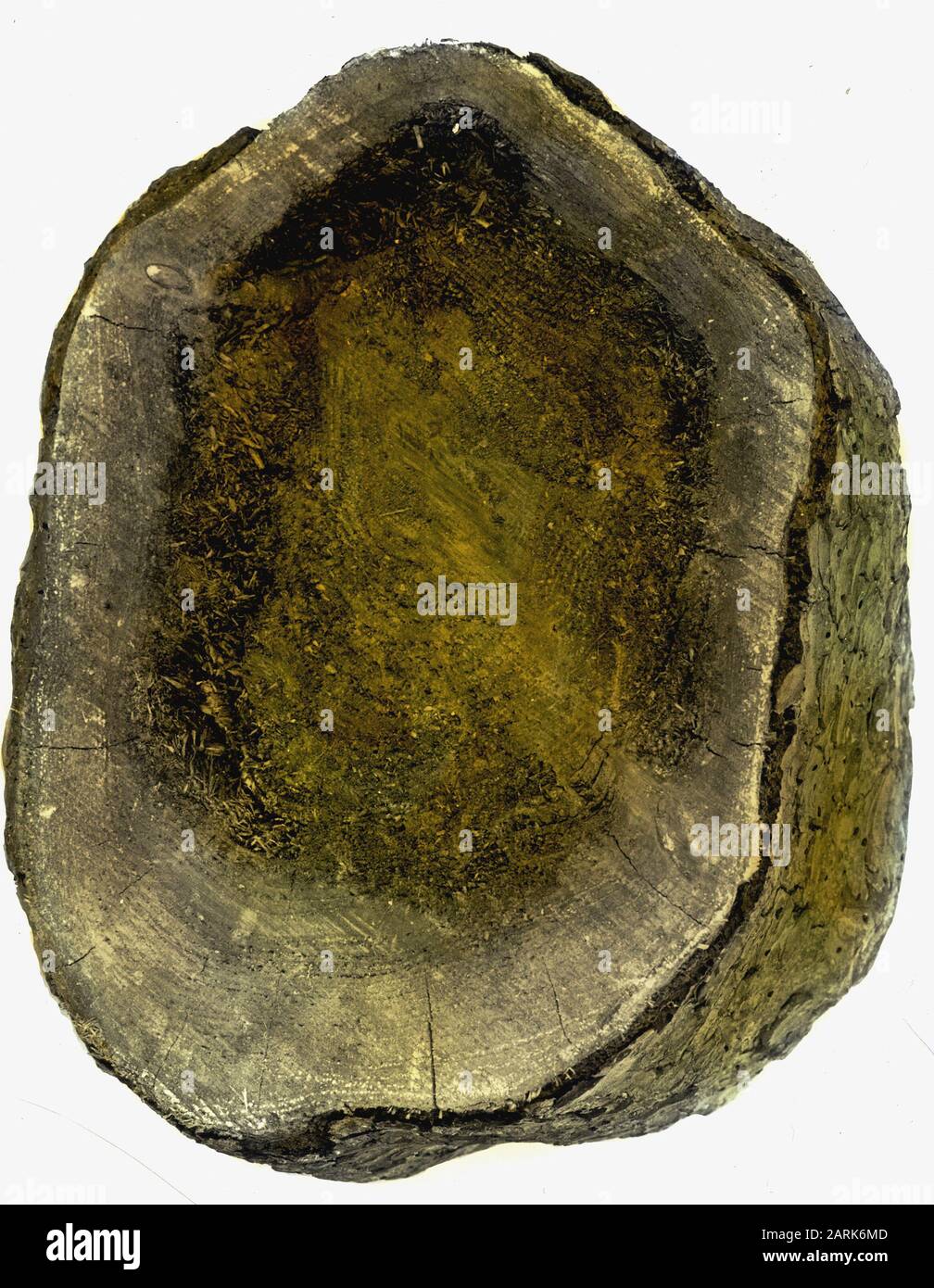 Ecosystem damage fire Cut Out Stock Images & Pictures - Alamy