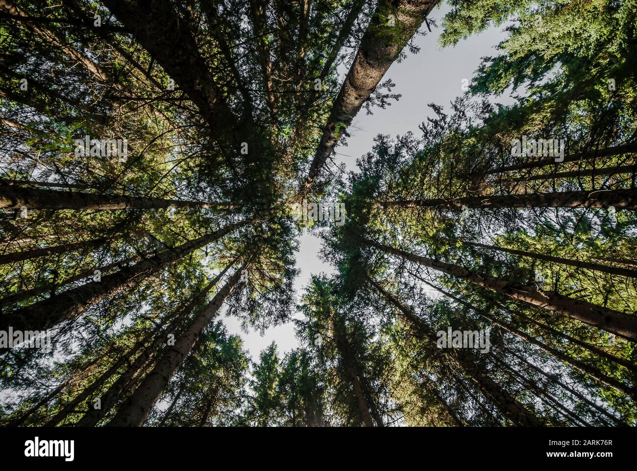 Maglic Bosnia High Resolution Stock Photography and Images - Alamy