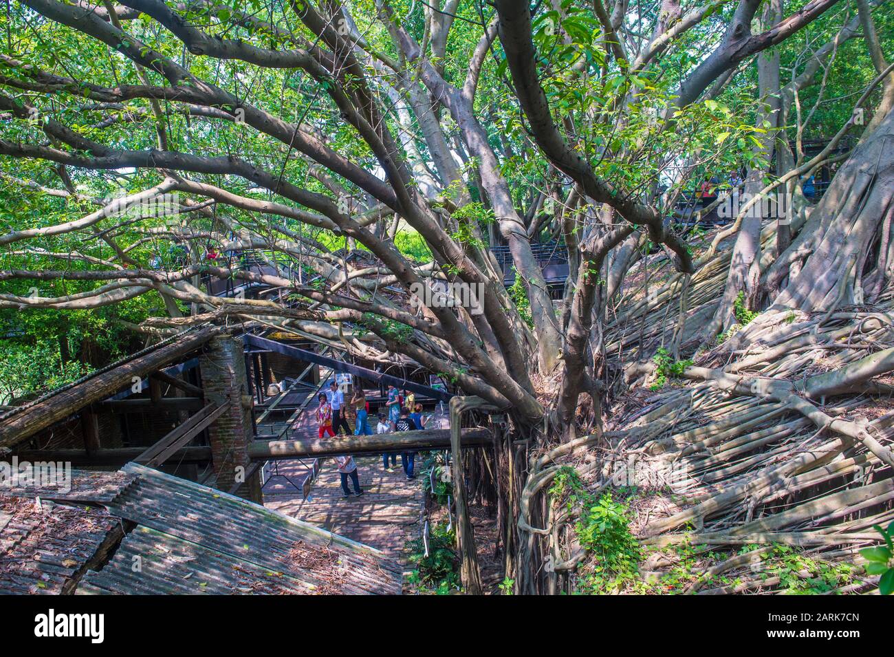 The Anping Tree House in Tainan Taiwan Stock Photo - Alamy