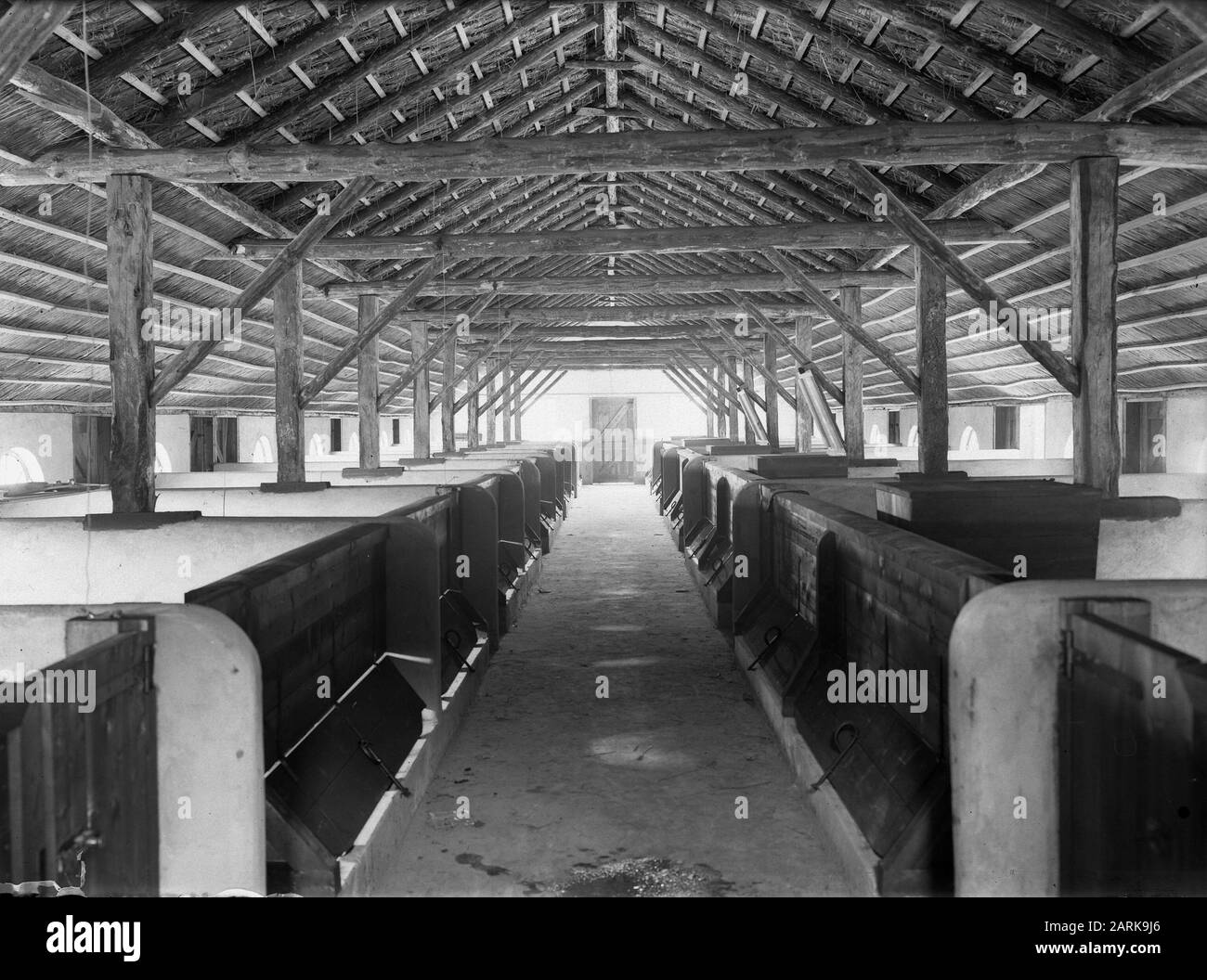Pig Stables High Resolution Stock Photography and Images - Alamy