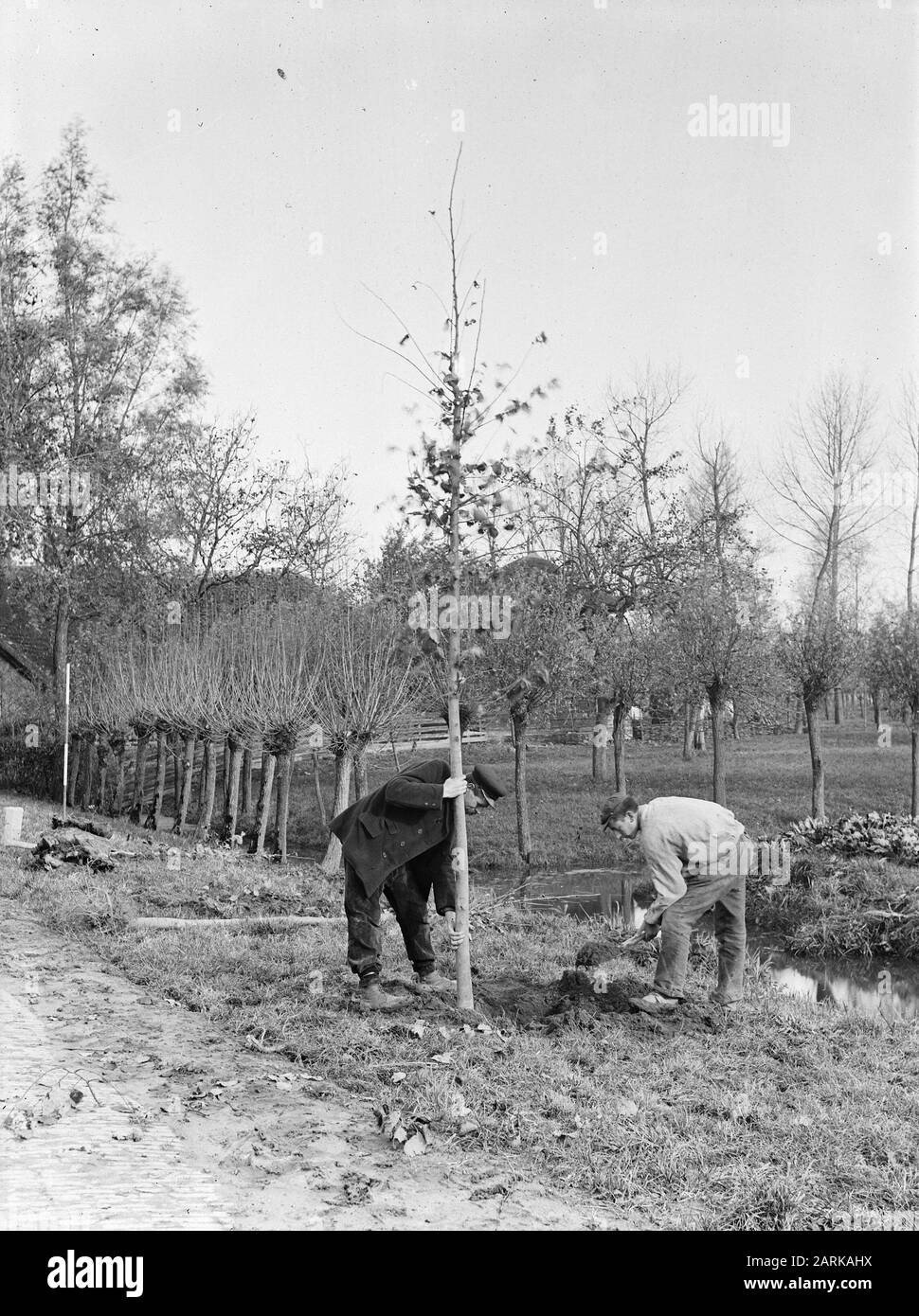 road plantations Date: undated Keywords: road plantations Stock Photo ...