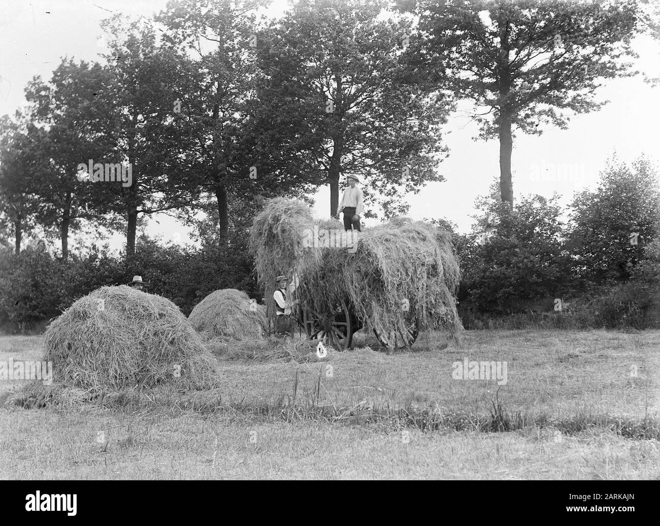 flow meadow, harvesting, hay Date: undated Keywords: harvesting, flow ...