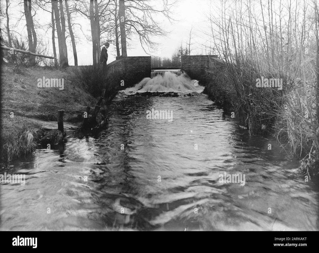 Fish of streams Black and White Stock Photos & Images - Alamy