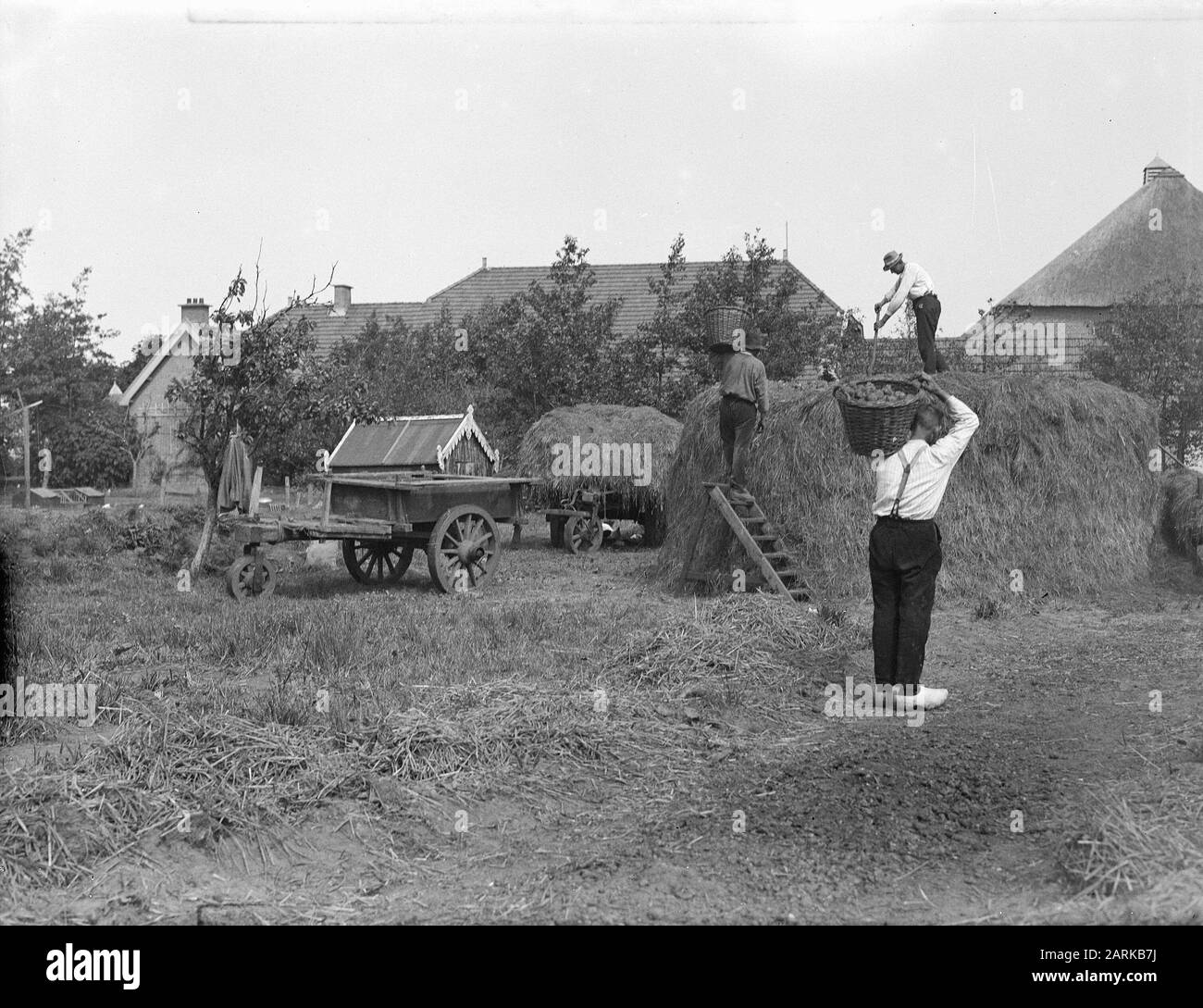 Veevoer hi-res stock photography and images - Alamy