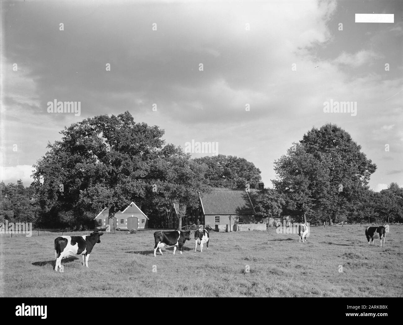 buildings, farms, meadows, livestock breeding, trees Date: undated ...
