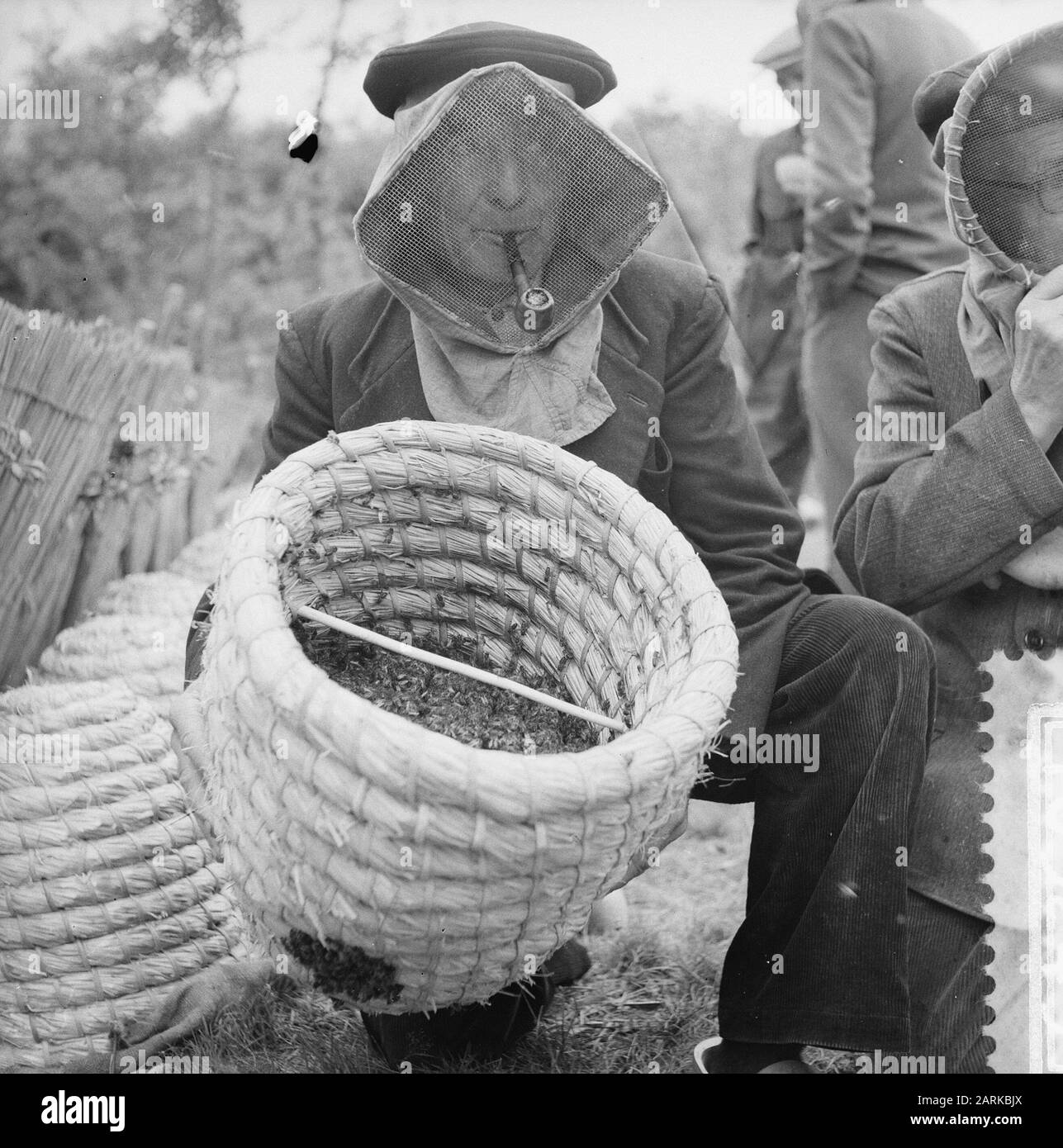 Annual bee market hi-res stock photography and images - Alamy