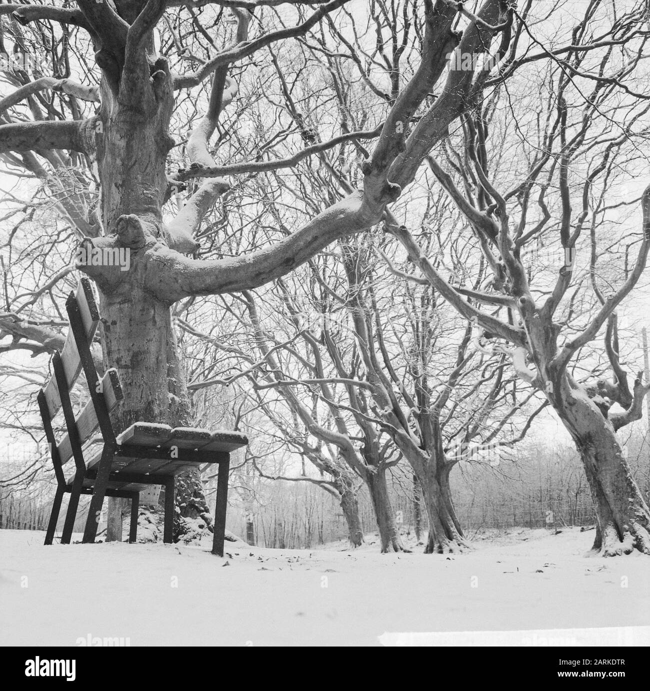 Dutch winter landscape covered Black and White Stock Photos & Images ...