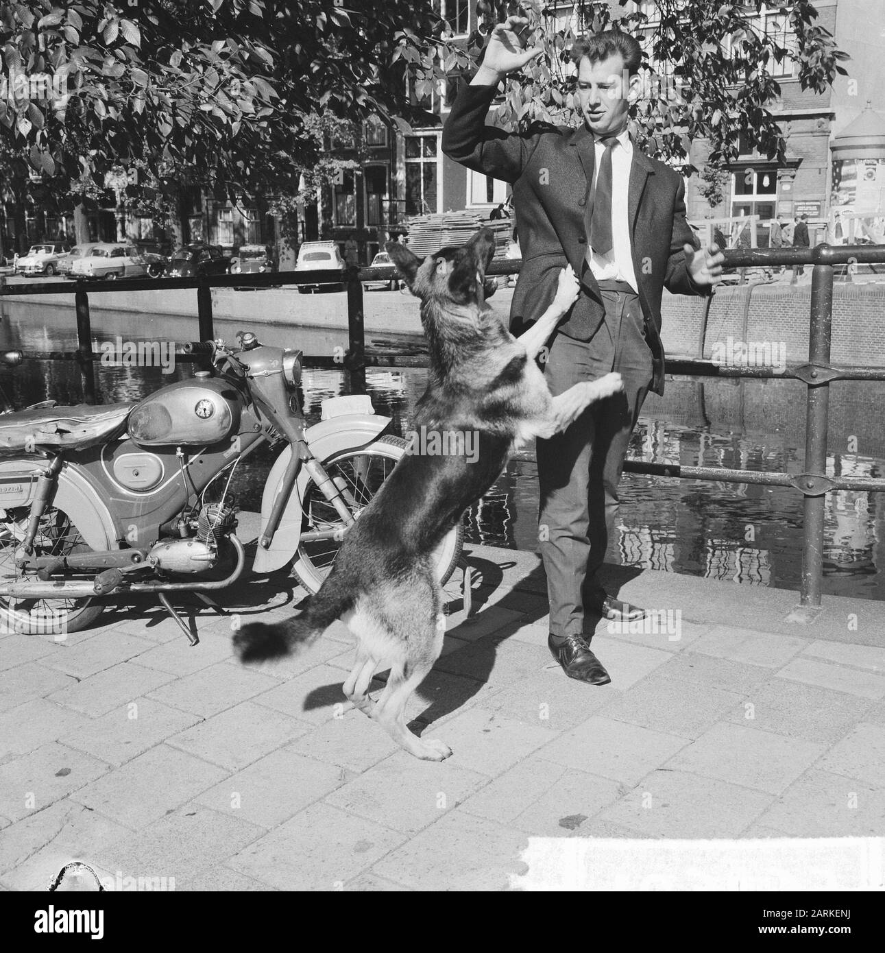 Dog attacking man Date: September 24, 1964 Keywords: attacks, dogs, men ...