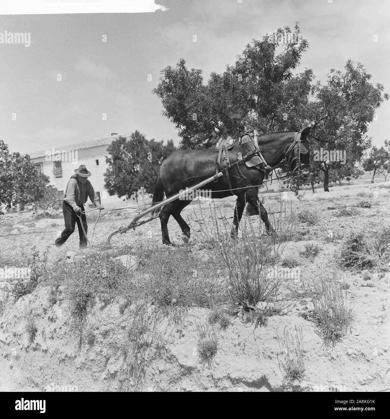 Crop scheduling hi-res stock photography and images - Alamy