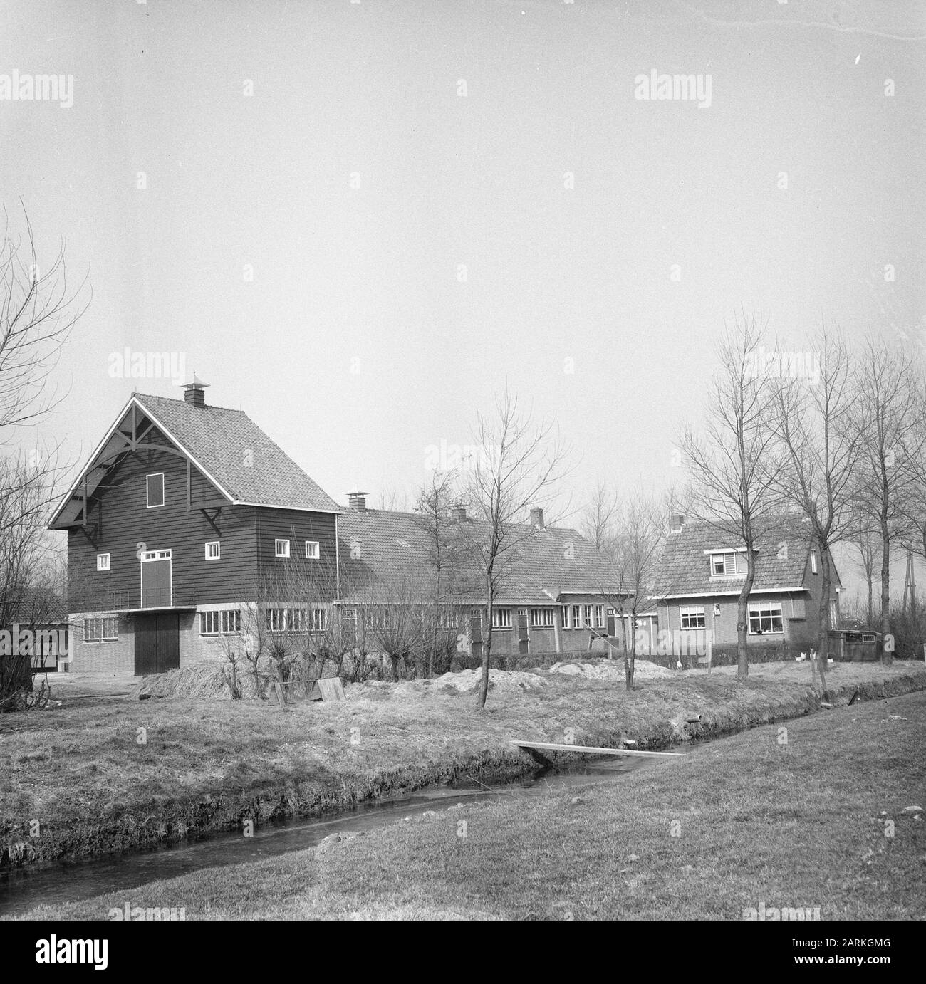 Morning gymnastics activities in hi-res stock photography and images ...
