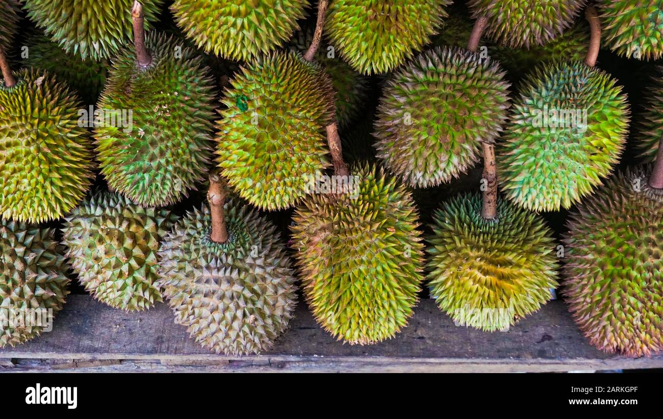 Large group of Durian Fruit from Indonesia Stock Photo - Alamy