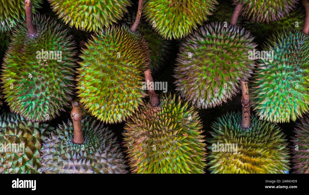 Large group of Durian Fruit from Indonesia Stock Photo - Alamy