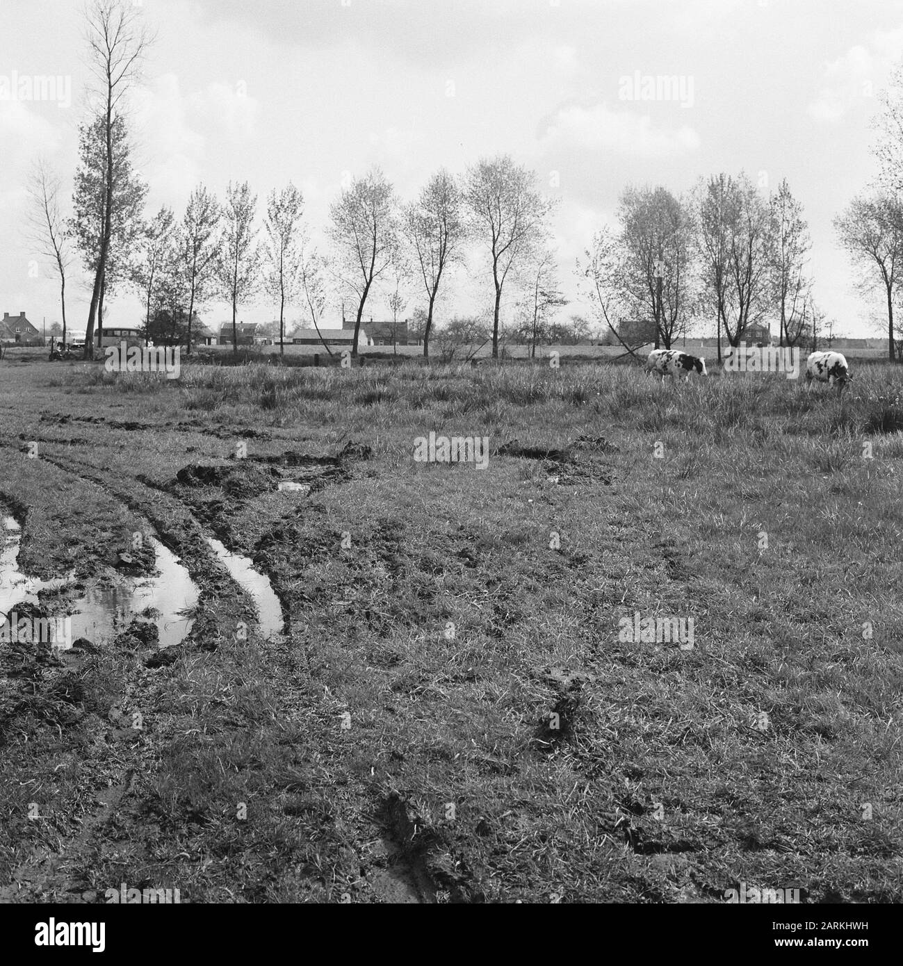 Poor farming yield Black and White Stock Photos & Images - Alamy