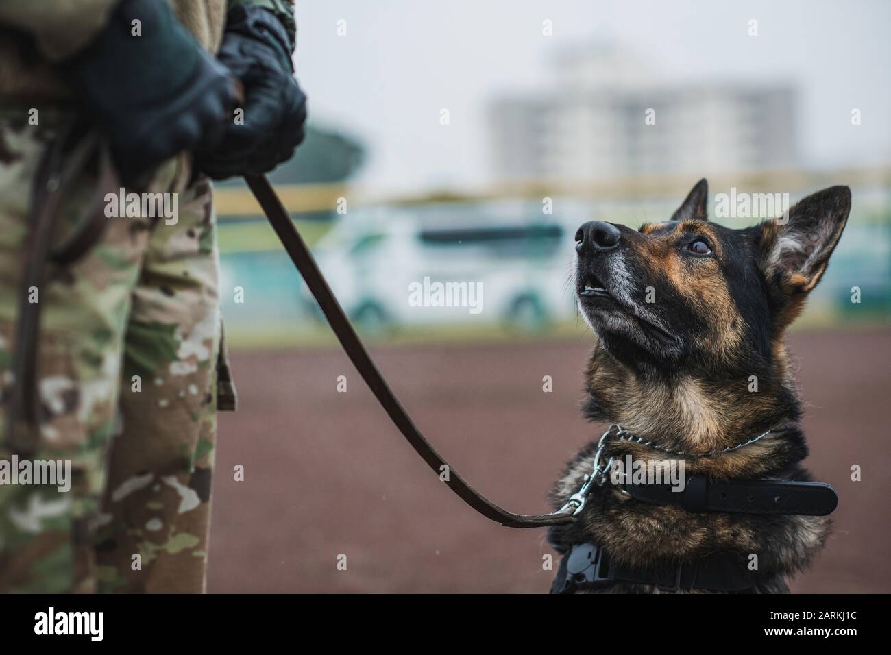 200108-N-NB144-0063 YOKOSUKA, Japan (Jan. 8, 2020) Military working dog ...