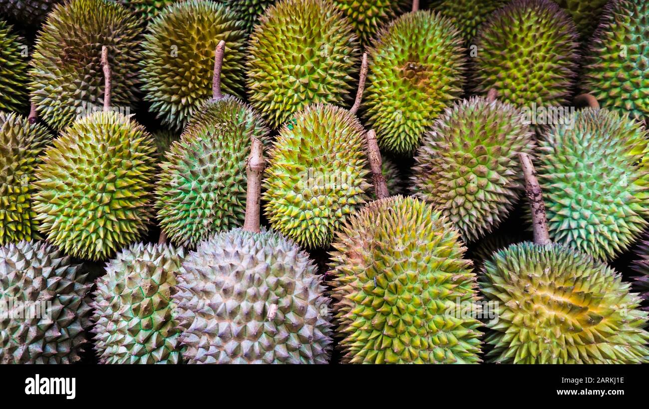 Large group of Durian Fruit from Indonesia Stock Photo - Alamy