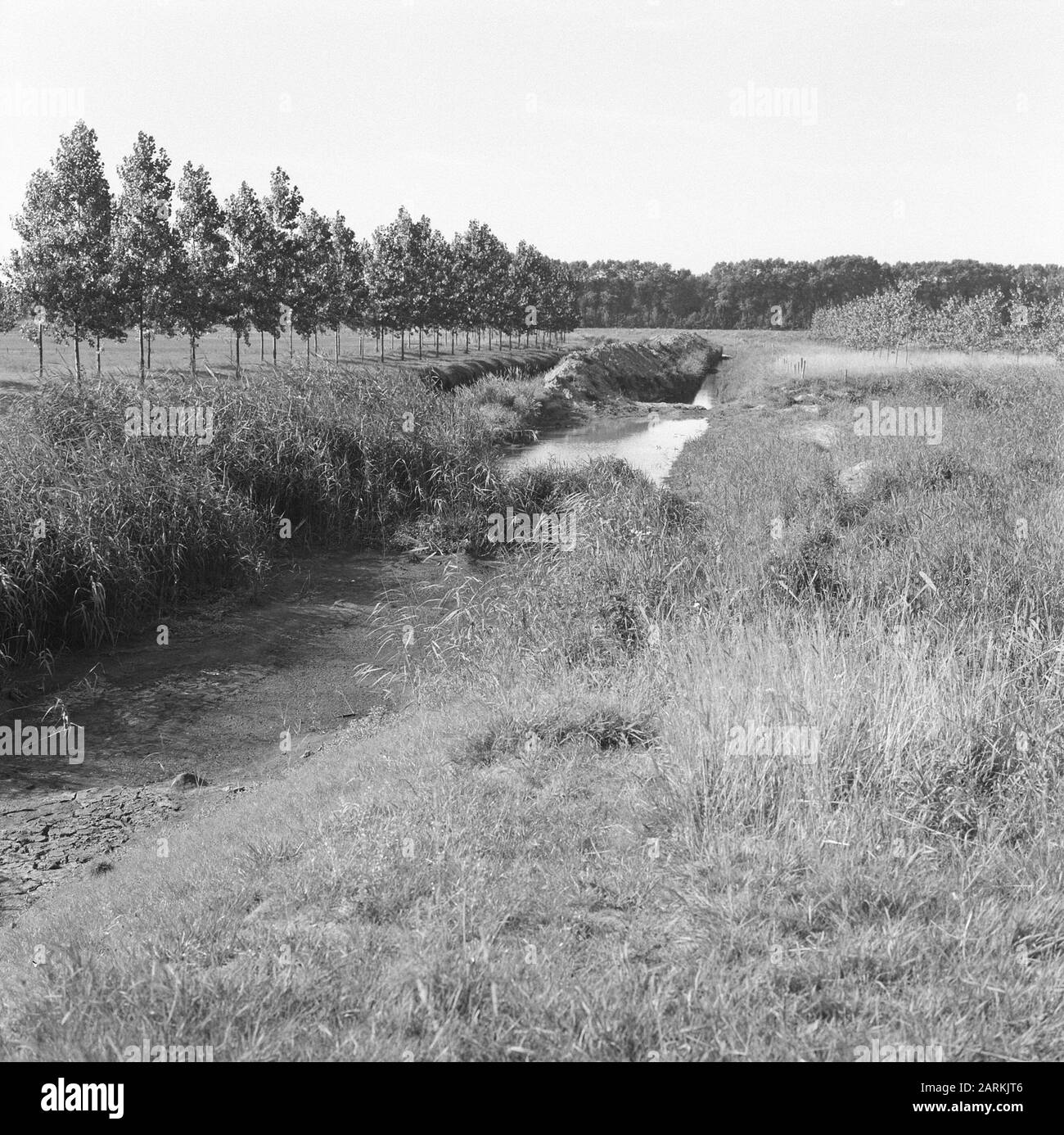 [dredging of drainage channel?] Stock Photo - Alamy