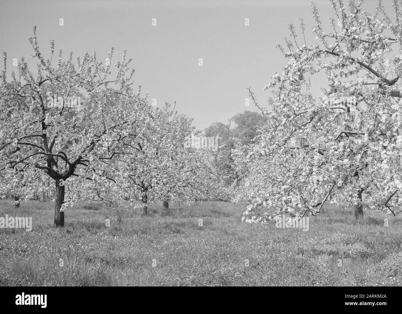 Landscape gardens farm orchards hi-res stock photography and images - Alamy
