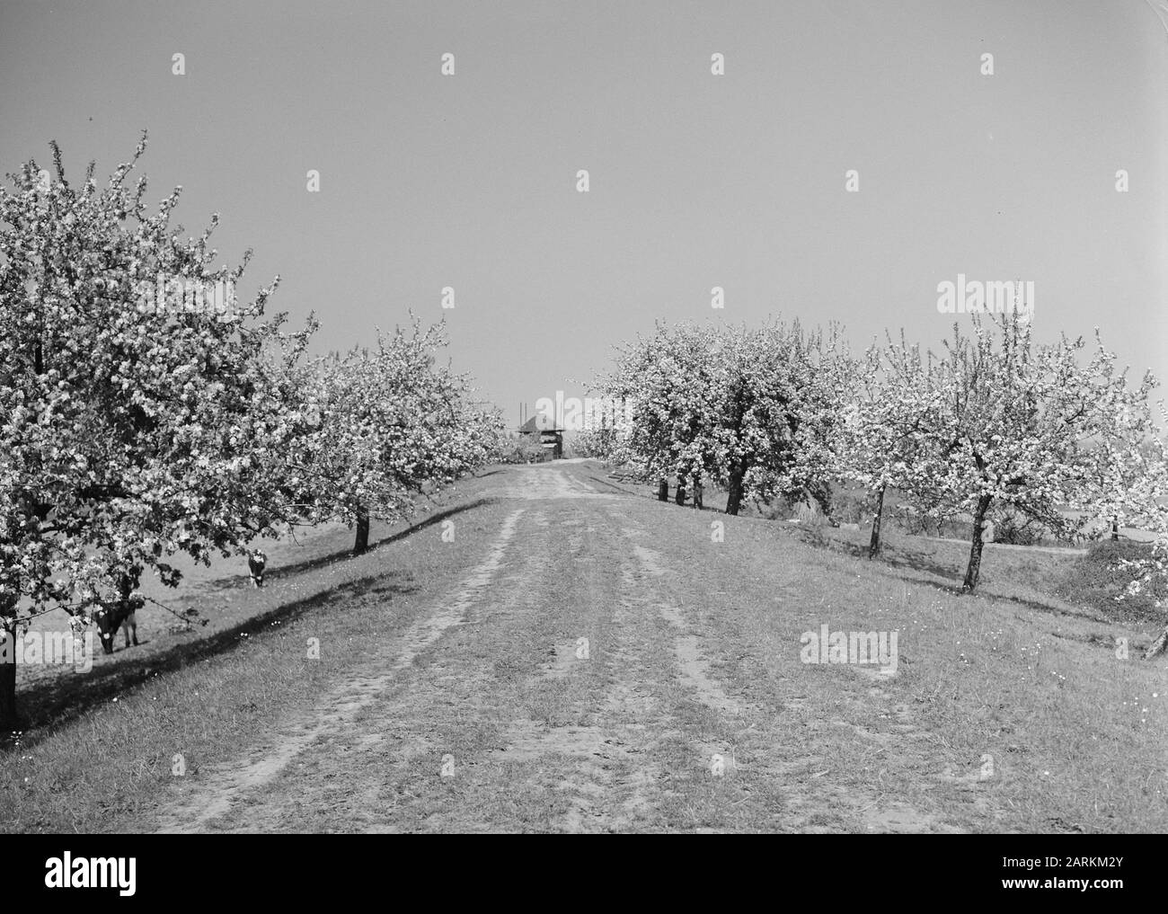 Beau linge hi-res stock photography and images - Alamy