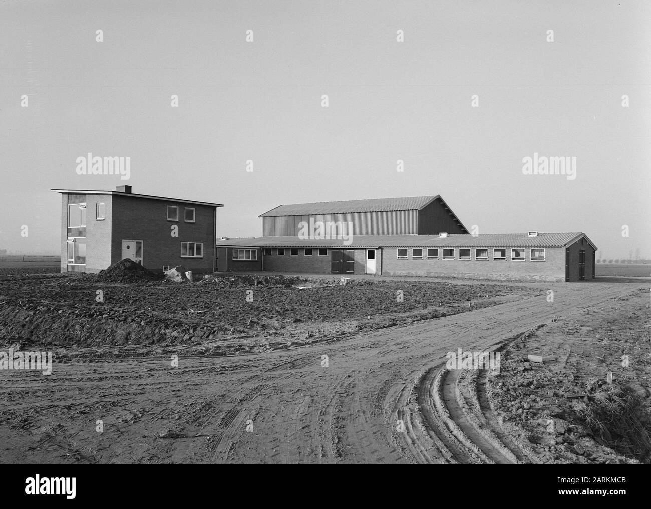 buildings, farms, cattle stables Date: November 1958 Location: Horssen ...