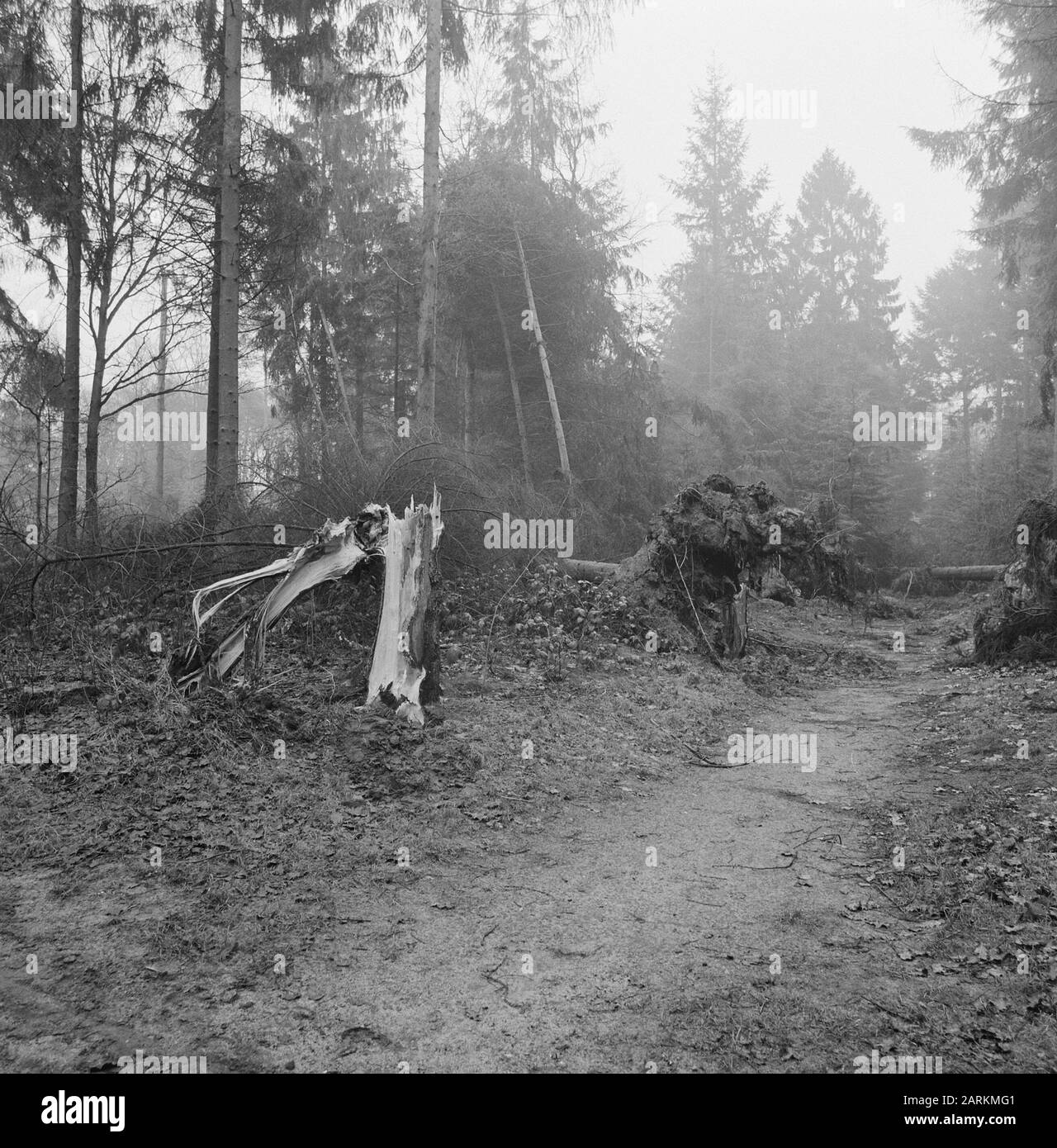 The disasters 1972 hi-res stock photography and images - Alamy