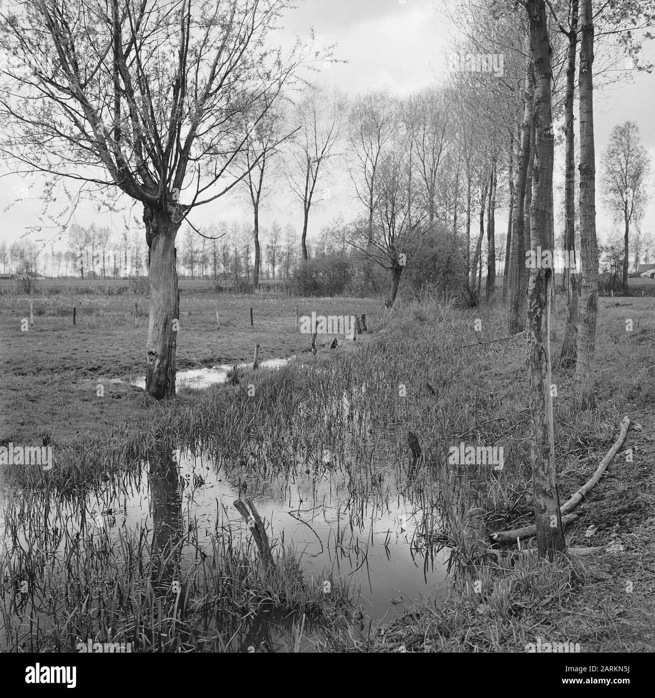 Muting hi-res stock photography and images - Alamy