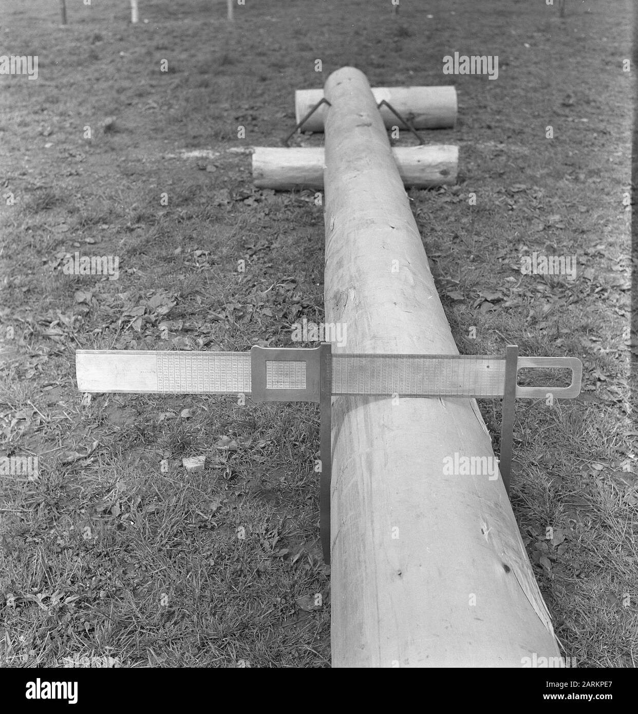 Measuring logs Black and White Stock Photos & Images - Alamy