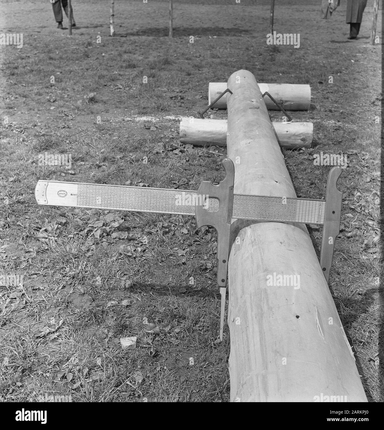 Measuring logs Black and White Stock Photos & Images - Alamy