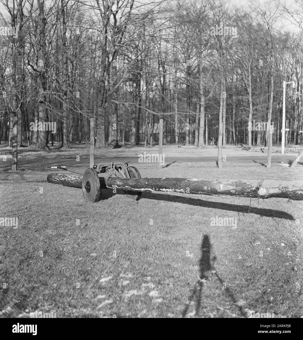 Landscaping tree care wood Black and White Stock Photos & Images - Alamy