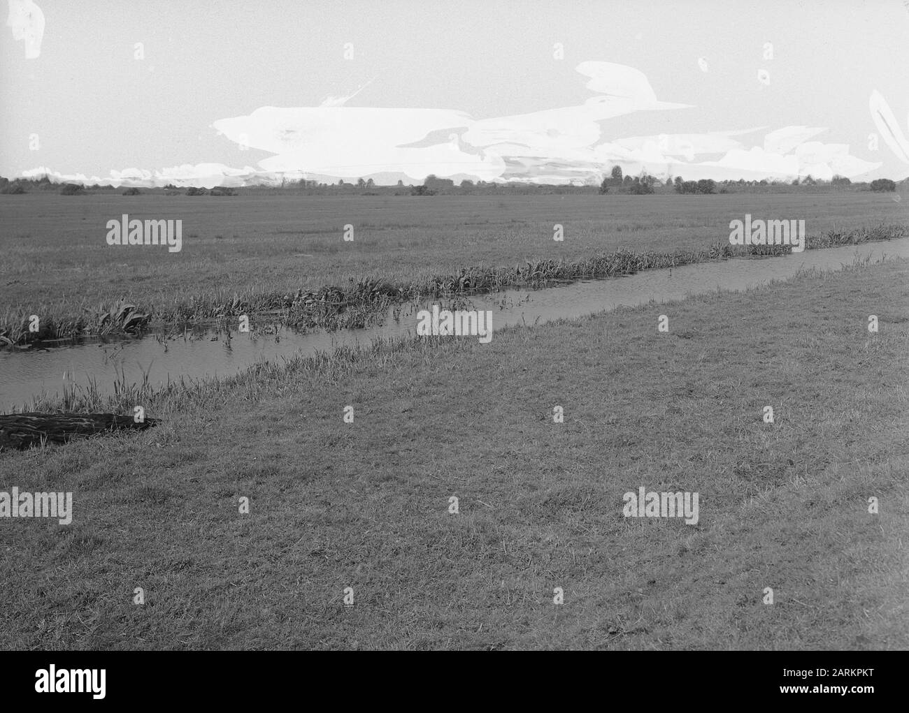 poldering and mould, channels, grasslands, narrow ee Date: August 1958 ...