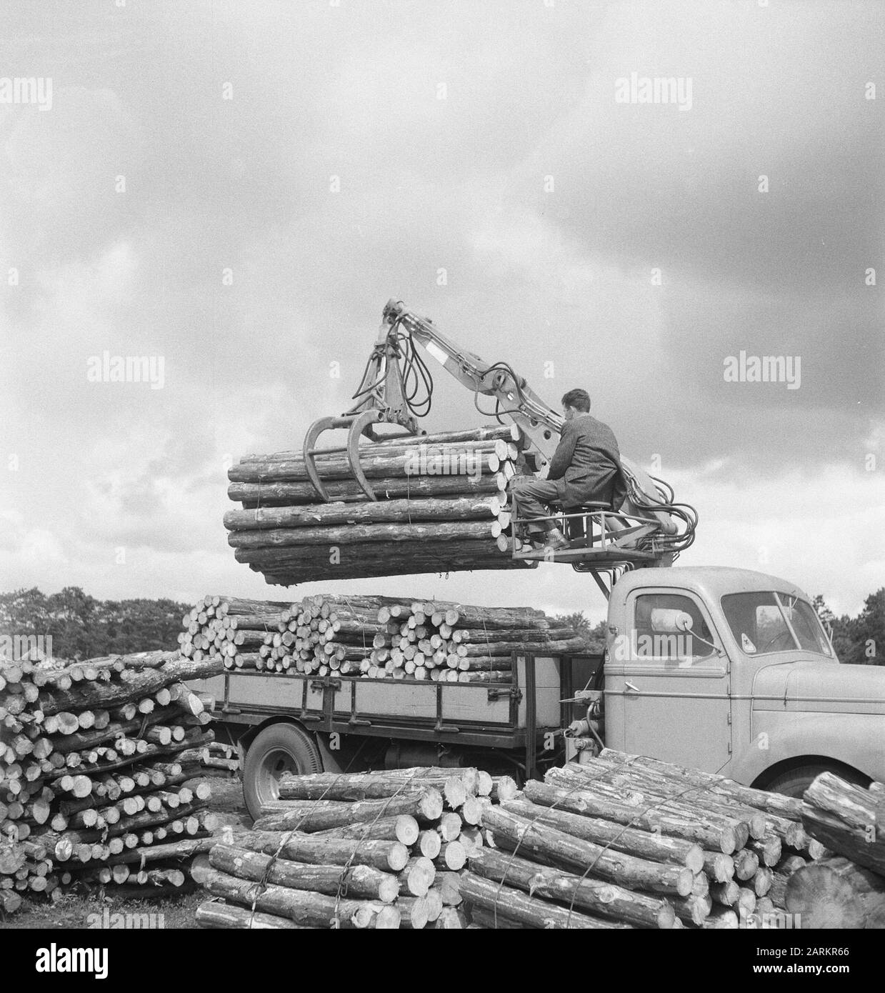 wood storage places, logs, vehicles, workers, lifting equipment, tow ...