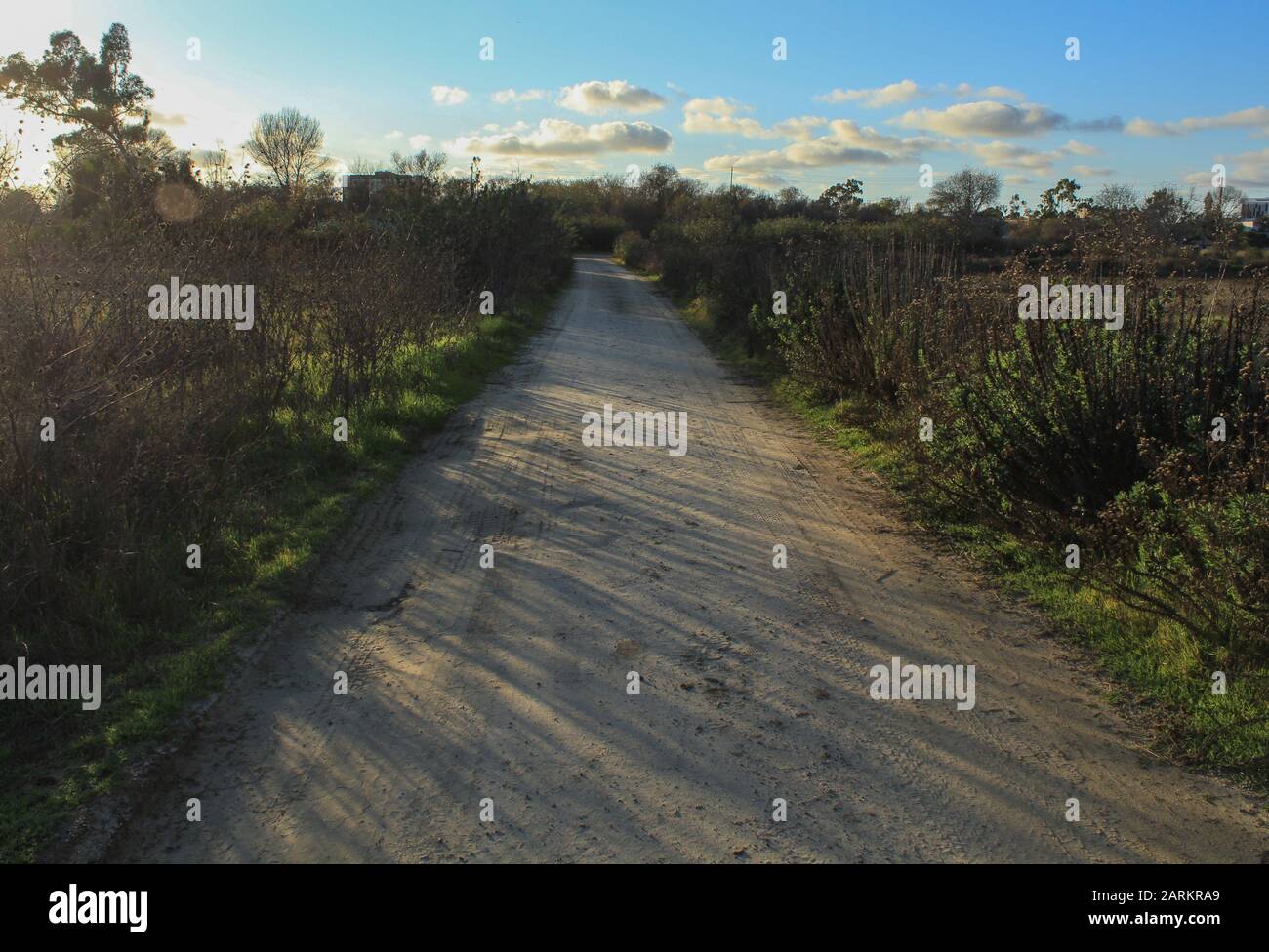 Madrona Marsh Preserve, Torrance, California Stock Photo - Alamy
