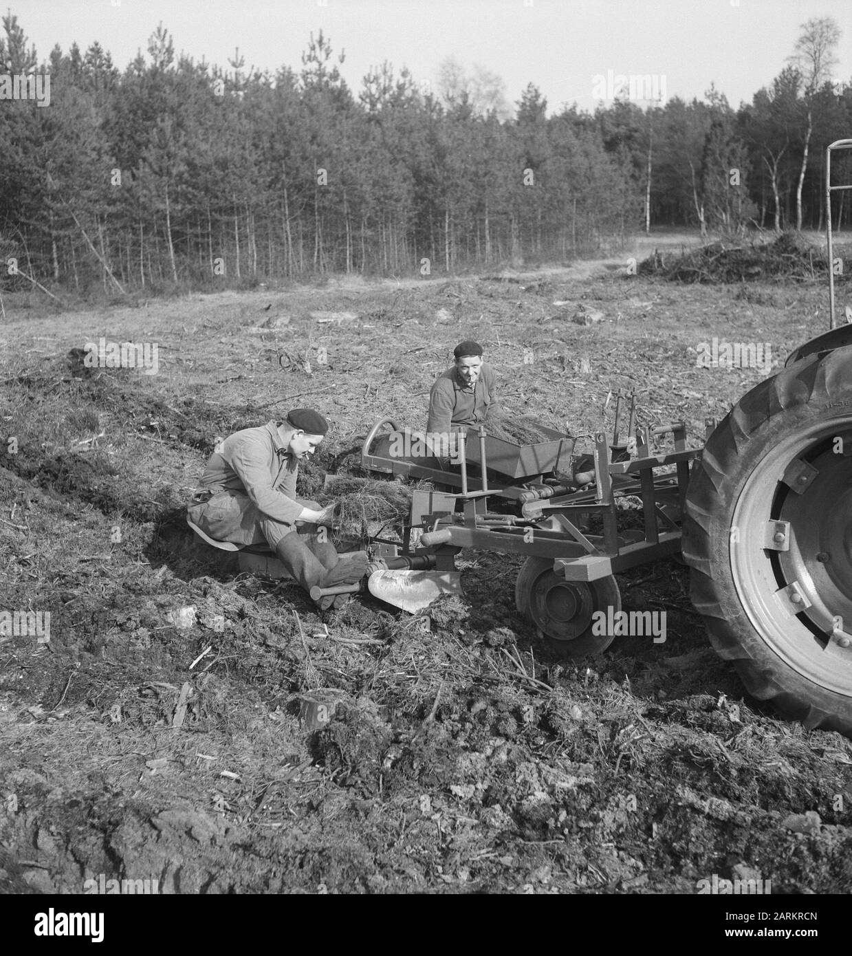 Modern planting Black and White Stock Photos & Images - Alamy
