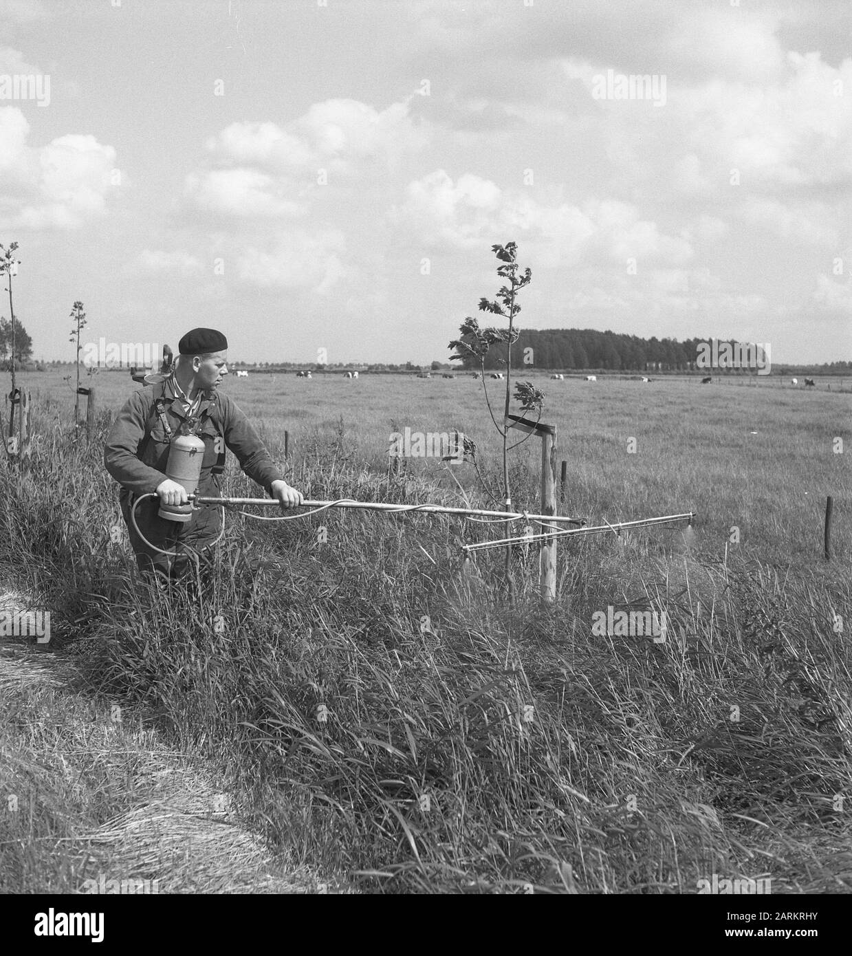 roads, roadside, trees, workers, spray installations Date: undated ...