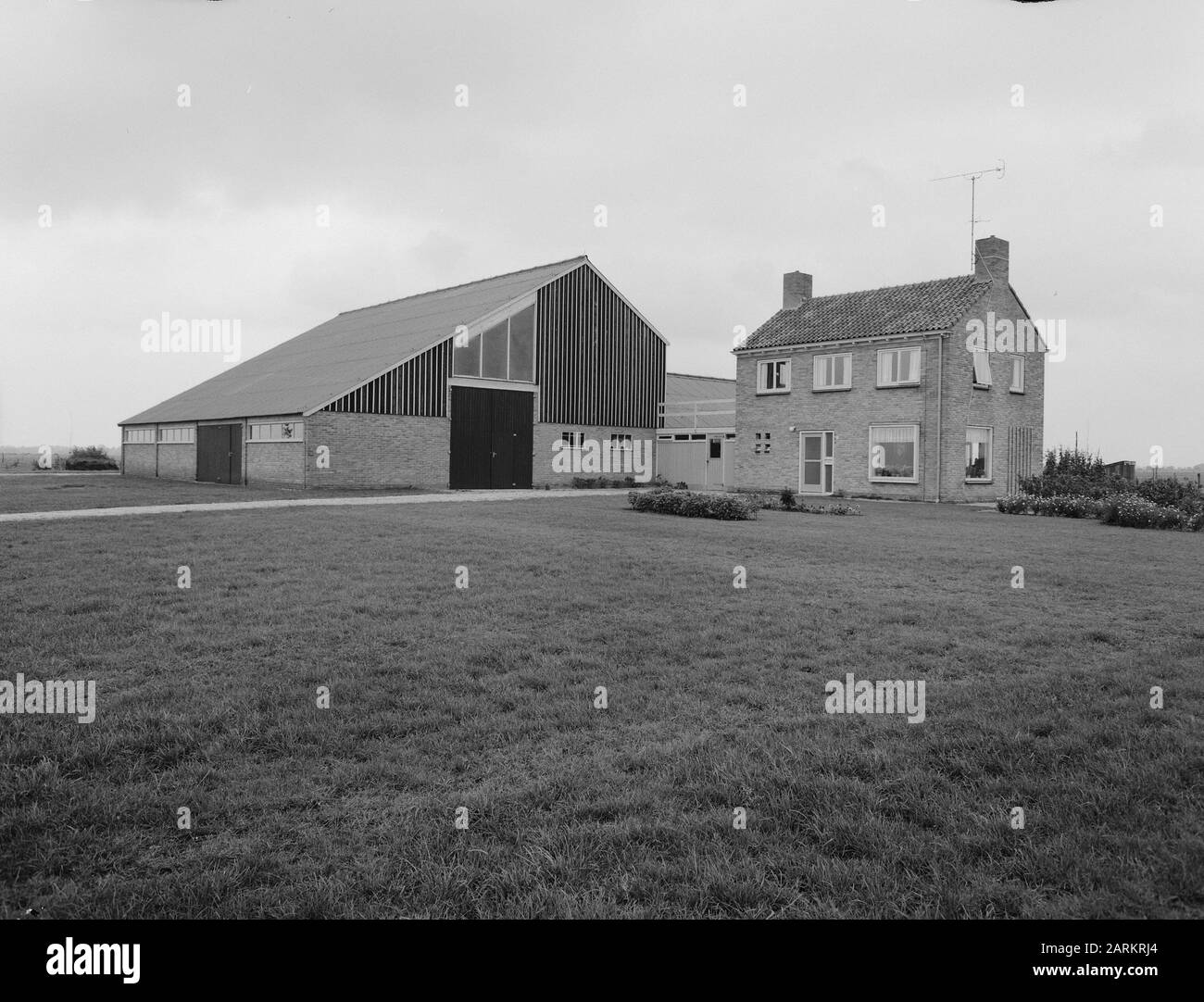 Peize bunne hi-res stock photography and images - Alamy