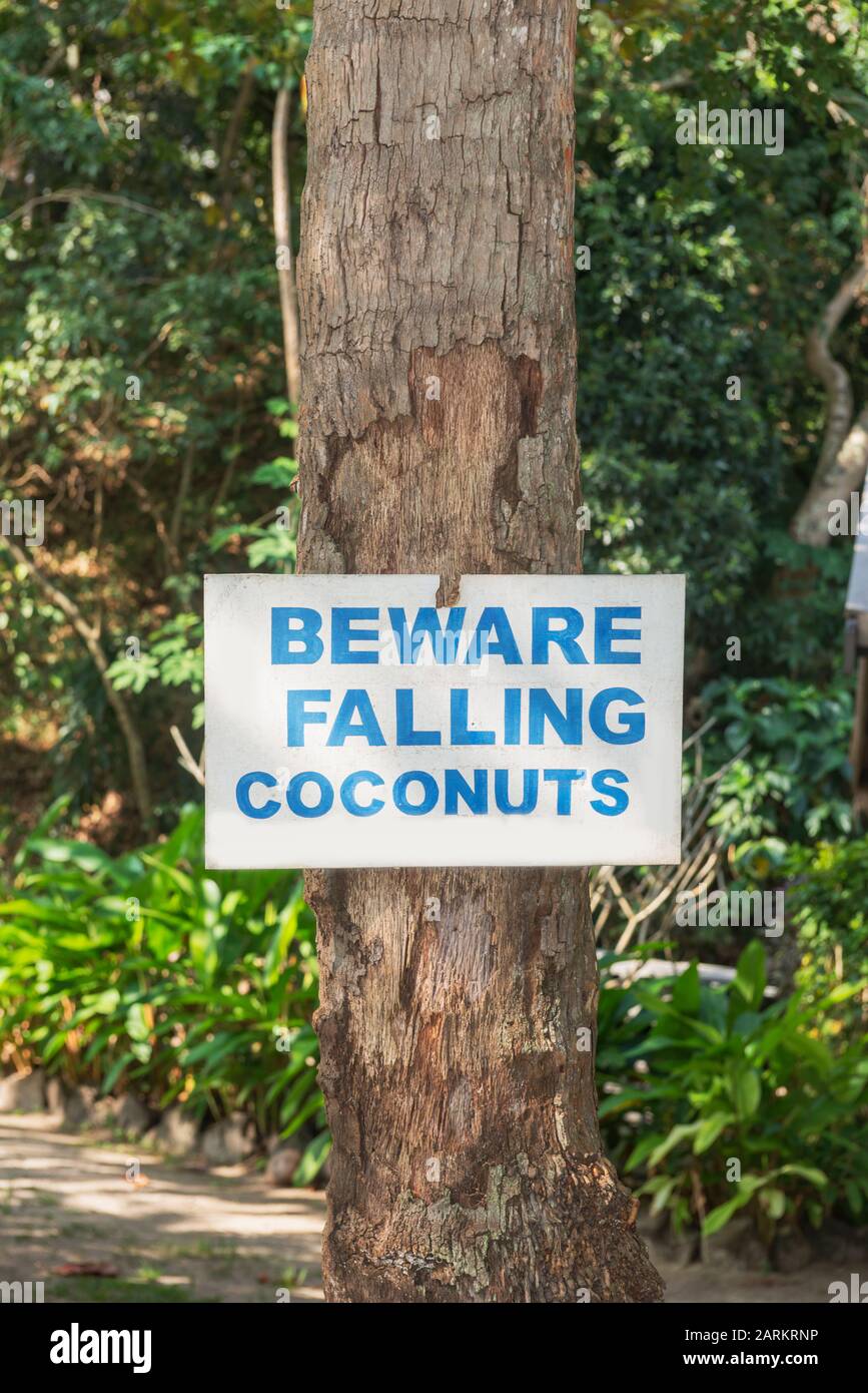 Sign warning falling coconuts hi-res stock photography and images - Alamy