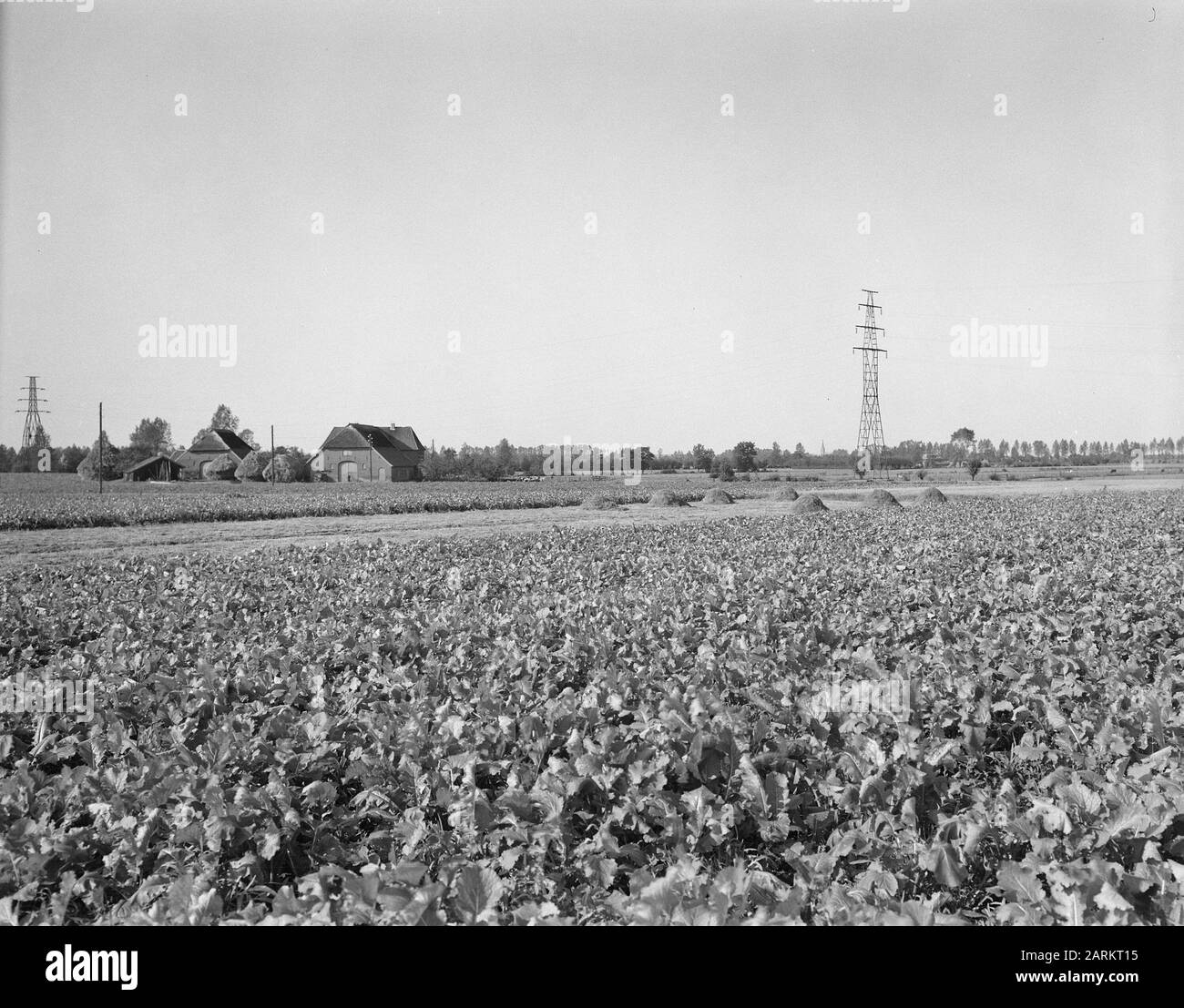 World War II, characteristic landscapes, construction lands, grasslands ...