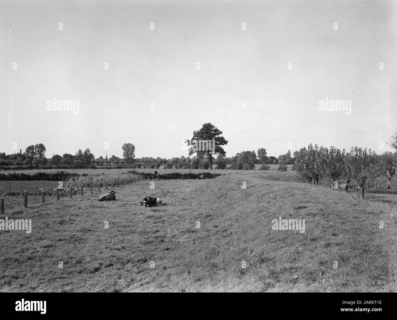 World War II, characteristic landscapes, hedge landscapes Date: 1943 ...