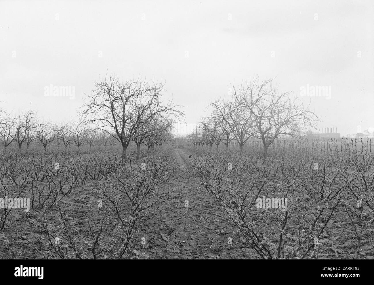 Keswich hi-res stock photography and images - Alamy