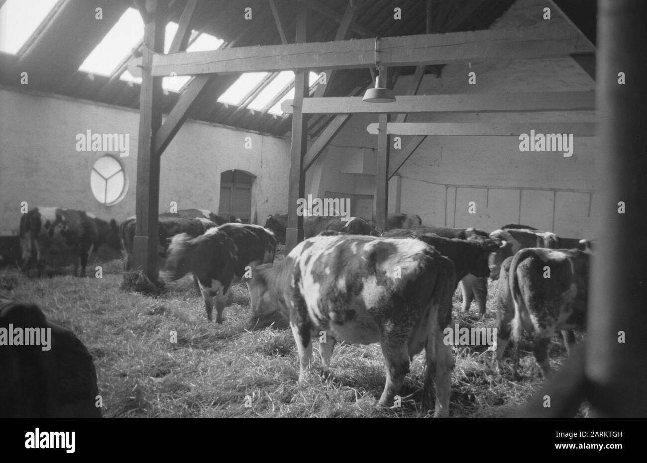 Saxon farm hi-res stock photography and images - Alamy