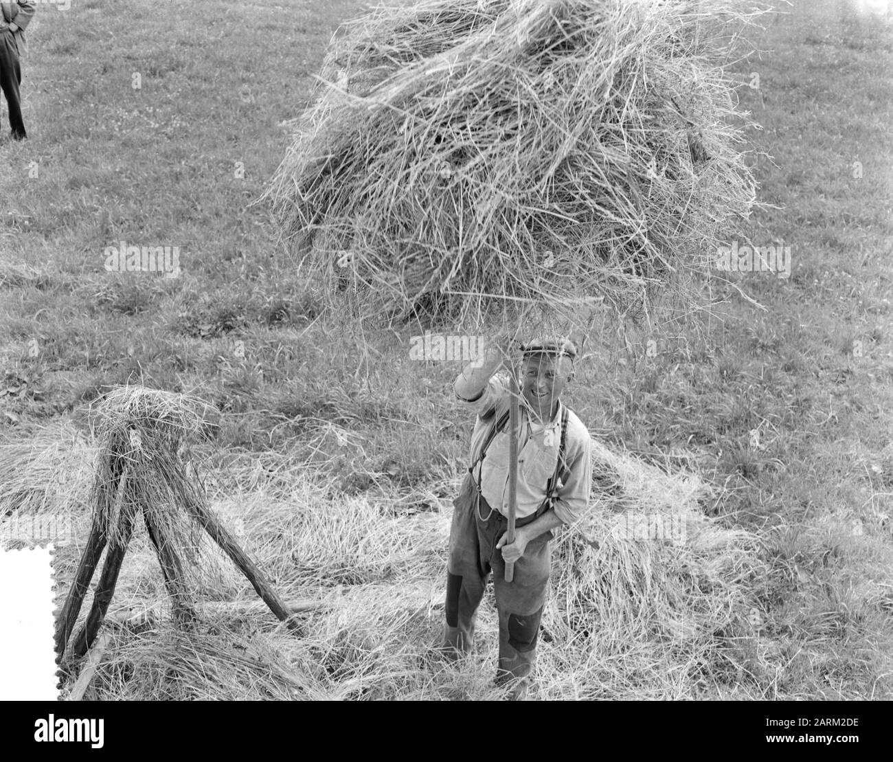 Field drying hay Black and White Stock Photos & Images - Alamy