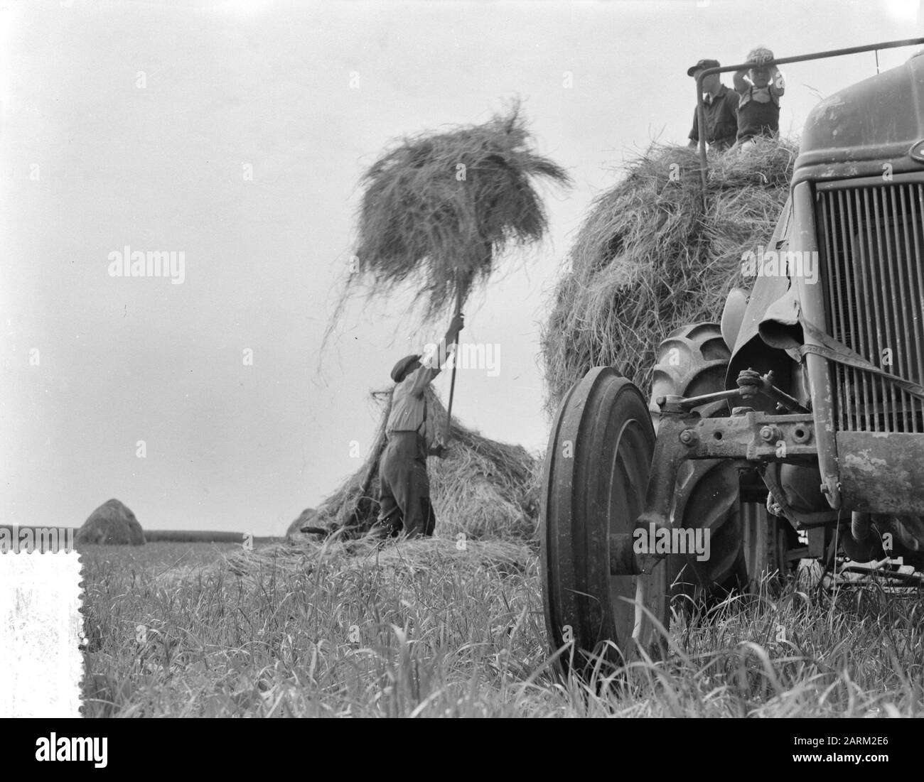 Rural summer life hay hi-res stock photography and images - Alamy