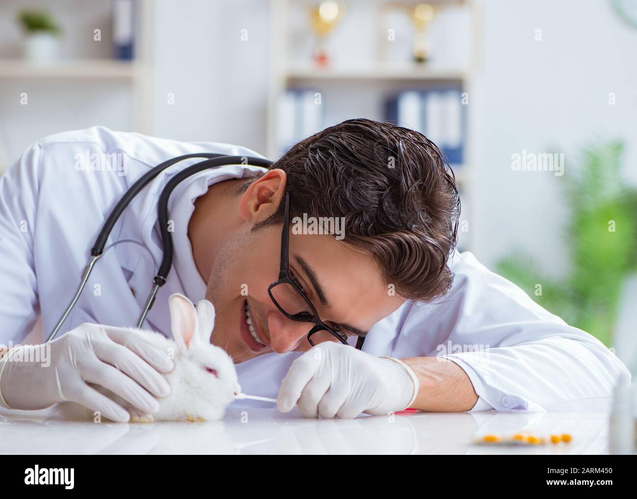 The vet doctor examining rabbit in pet hospital Stock Photo - Alamy