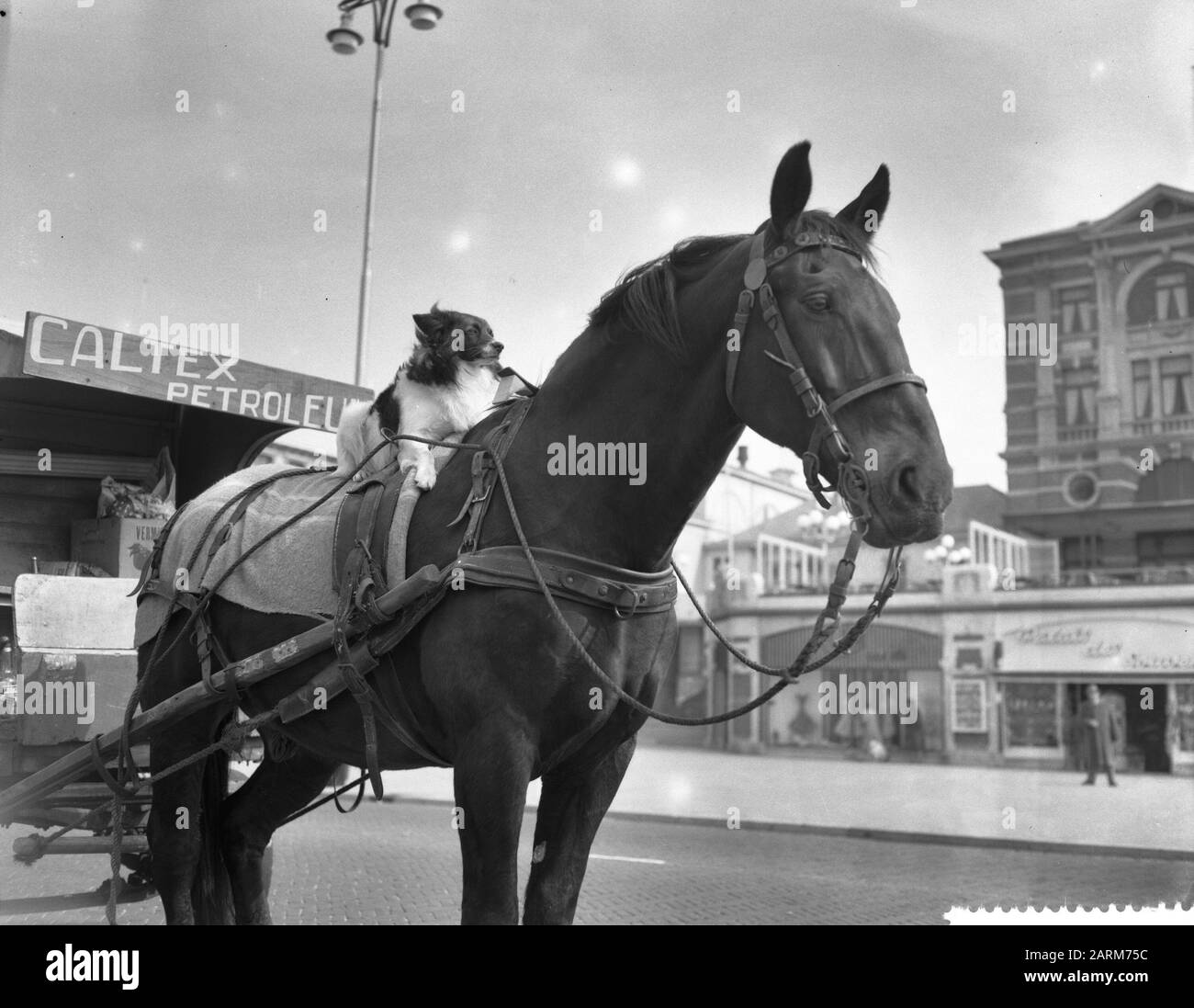 Back 9 Black and White Stock Photos & Images - Alamy